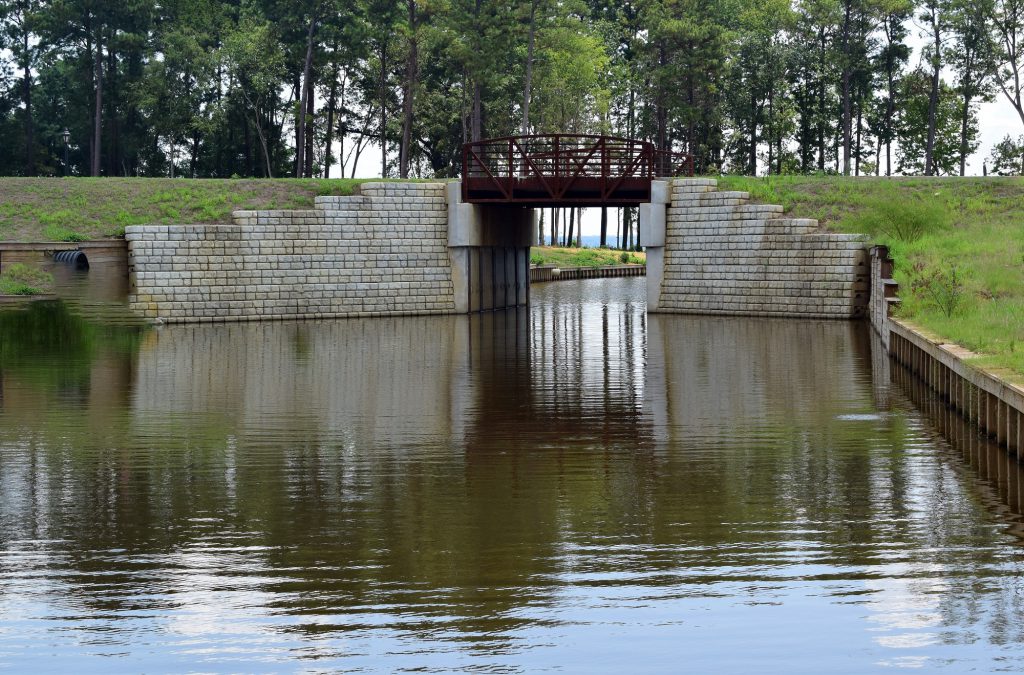 Lost Rabbit – Madison, MS